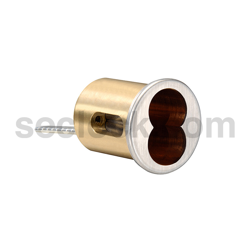 1212 626 - Yale LFIC Rim Housing | SECLOCK